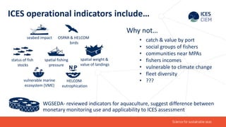 Where does social ecological modelling fit in ices? | PPT