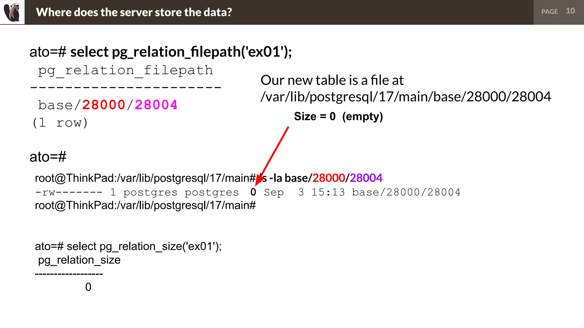 Where Does Your Data Go When You Put In Into A Database_.pdf