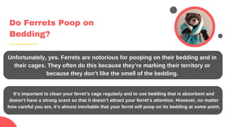 Where Do Ferrets Poop.pdf