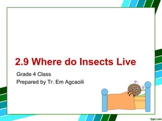 Where do insects live | PPTX