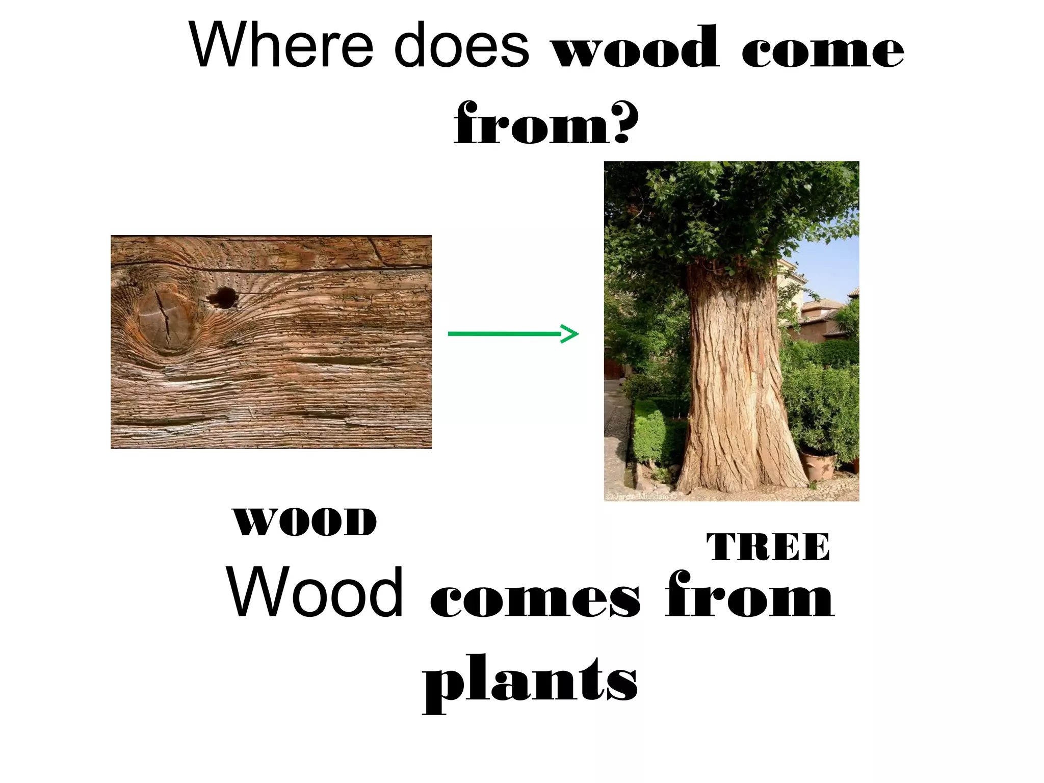 Where do materials come from | PPT