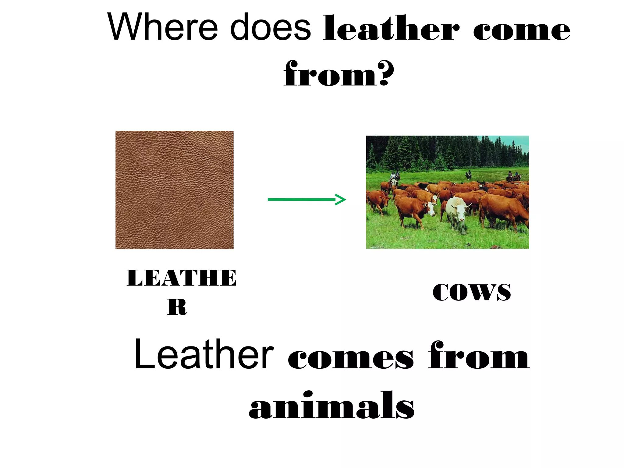 Where do materials come from | PPT