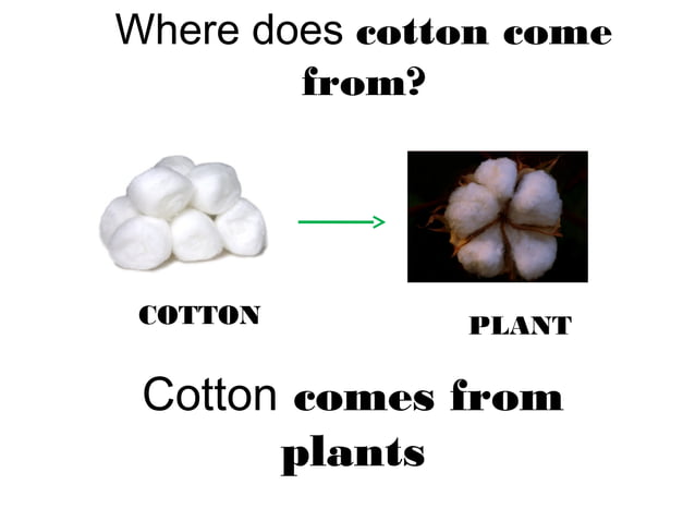 Where do materials come from | PPT