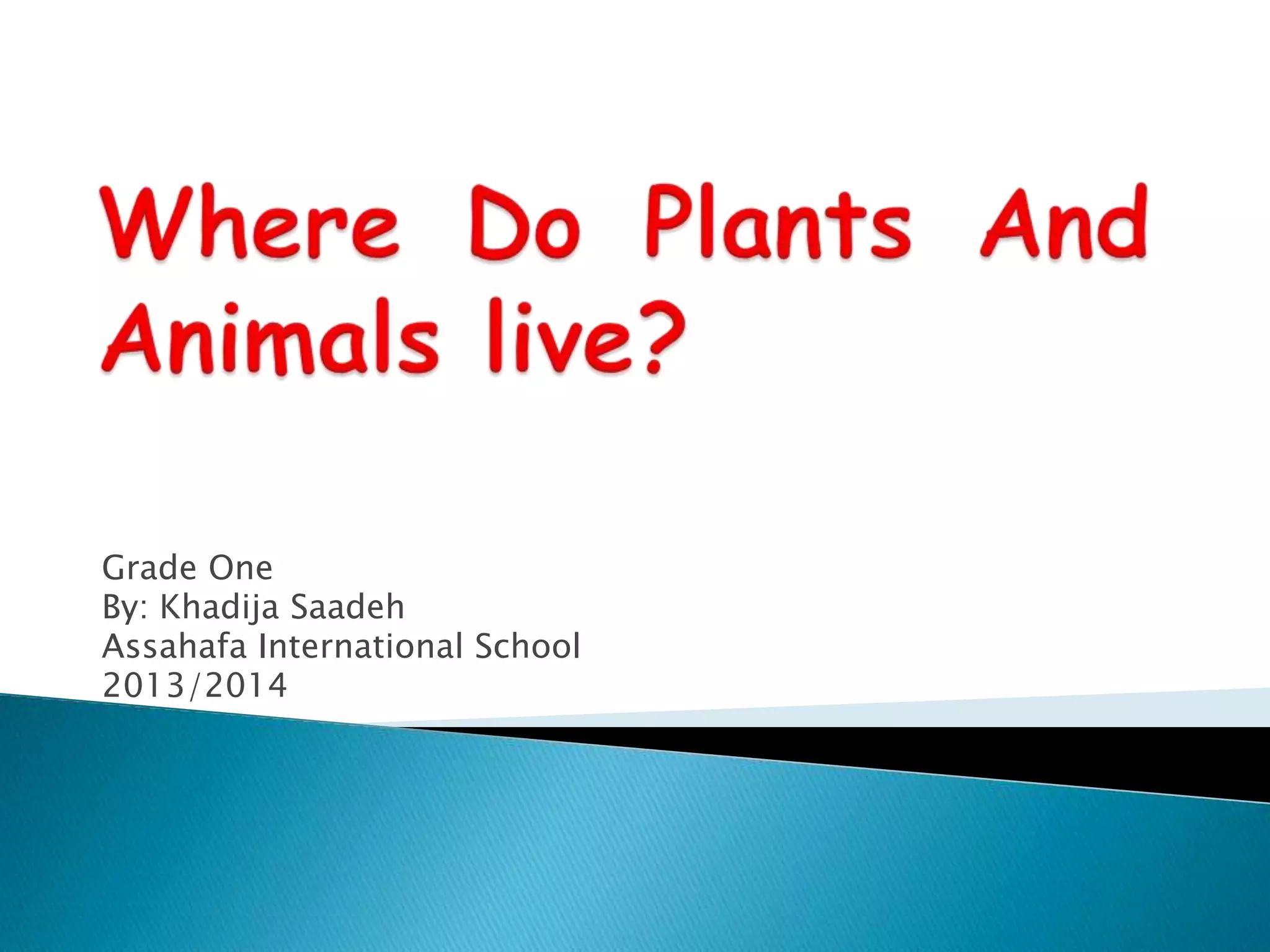 Where do plants and animals live (habitats) | PPTX