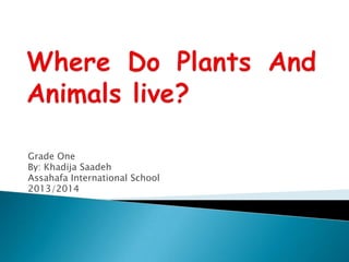 Where do plants and animals live (habitats) | PPTX