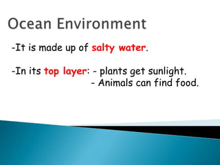 Where do plants and animals live (habitats) | PPTX