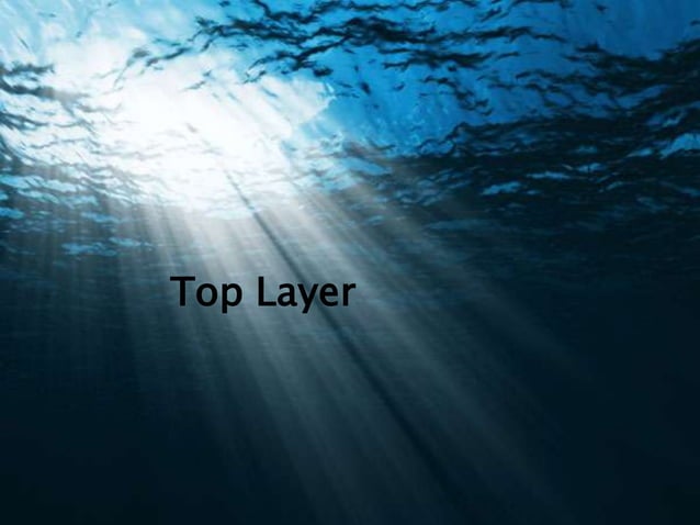 Where do plants and animals live (habitats) | PPTX | Gardening | Home ...