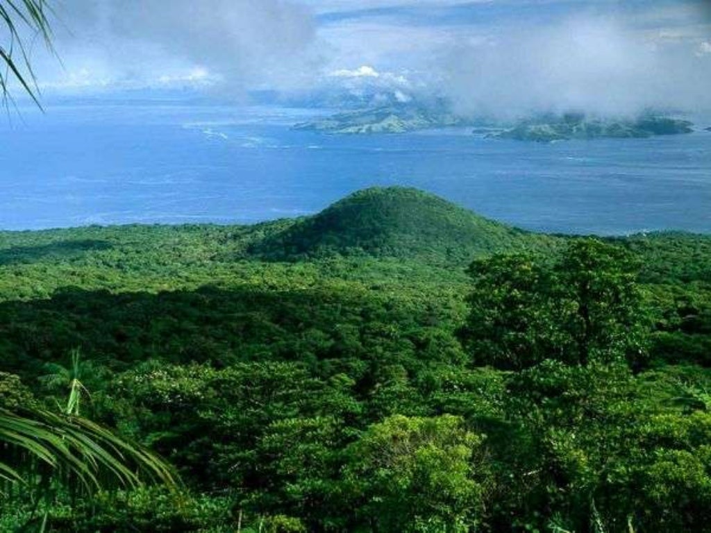 Where Do Plants And Animals Live habitats where-do-plants-and-animals-live-habitats