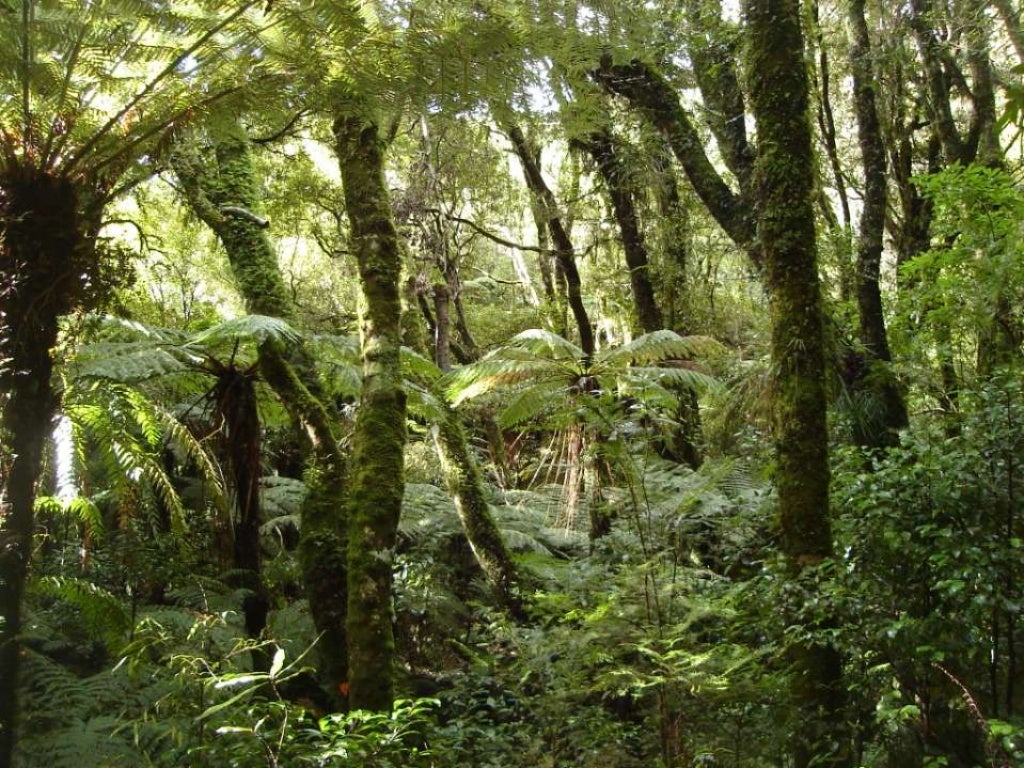 Where Do Plants And Animals Live habitats where-do-plants-and-animals-live-habitats