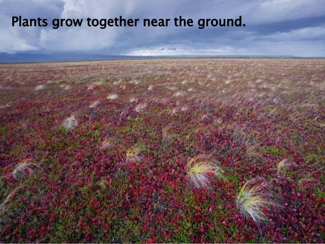 Where do plants and animals live (habitats)