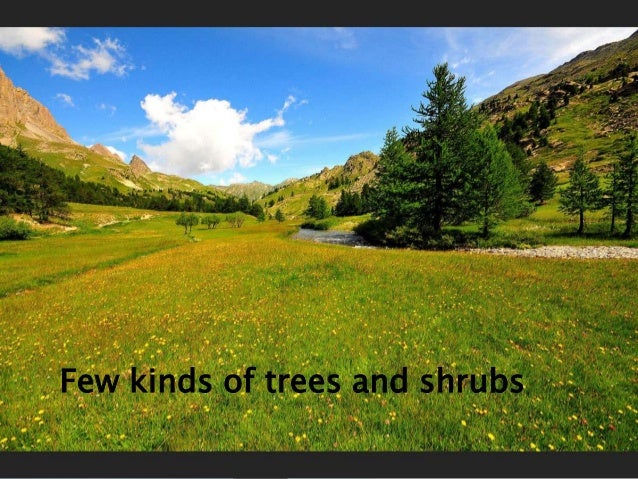 Where do plants and animals live (habitats)