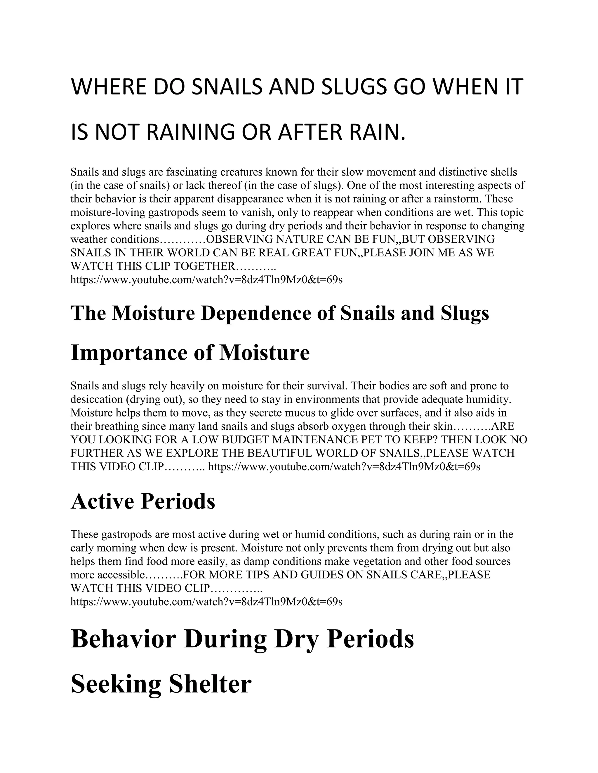 WHERE DO SNAILS AND SLUGS GO WHEN IT IS NOT RAINING OR AFTER RAIN..docx