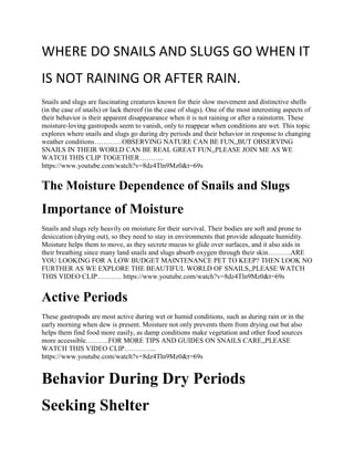 WHERE DO SNAILS AND SLUGS GO WHEN IT IS NOT RAINING OR AFTER RAIN..docx
