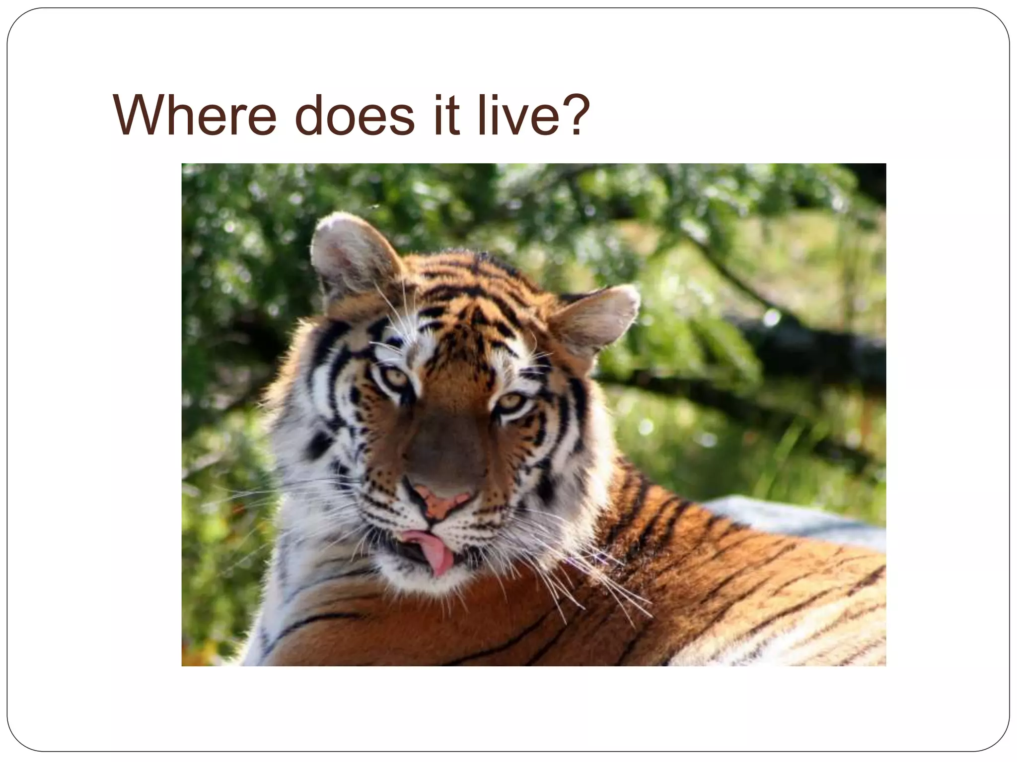 Where do we live 2 | PPTX