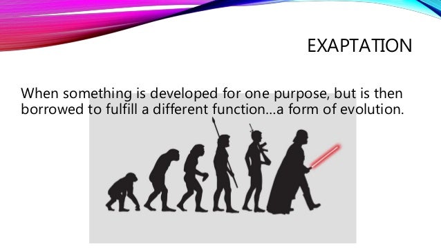 Where Good Ideas Come From