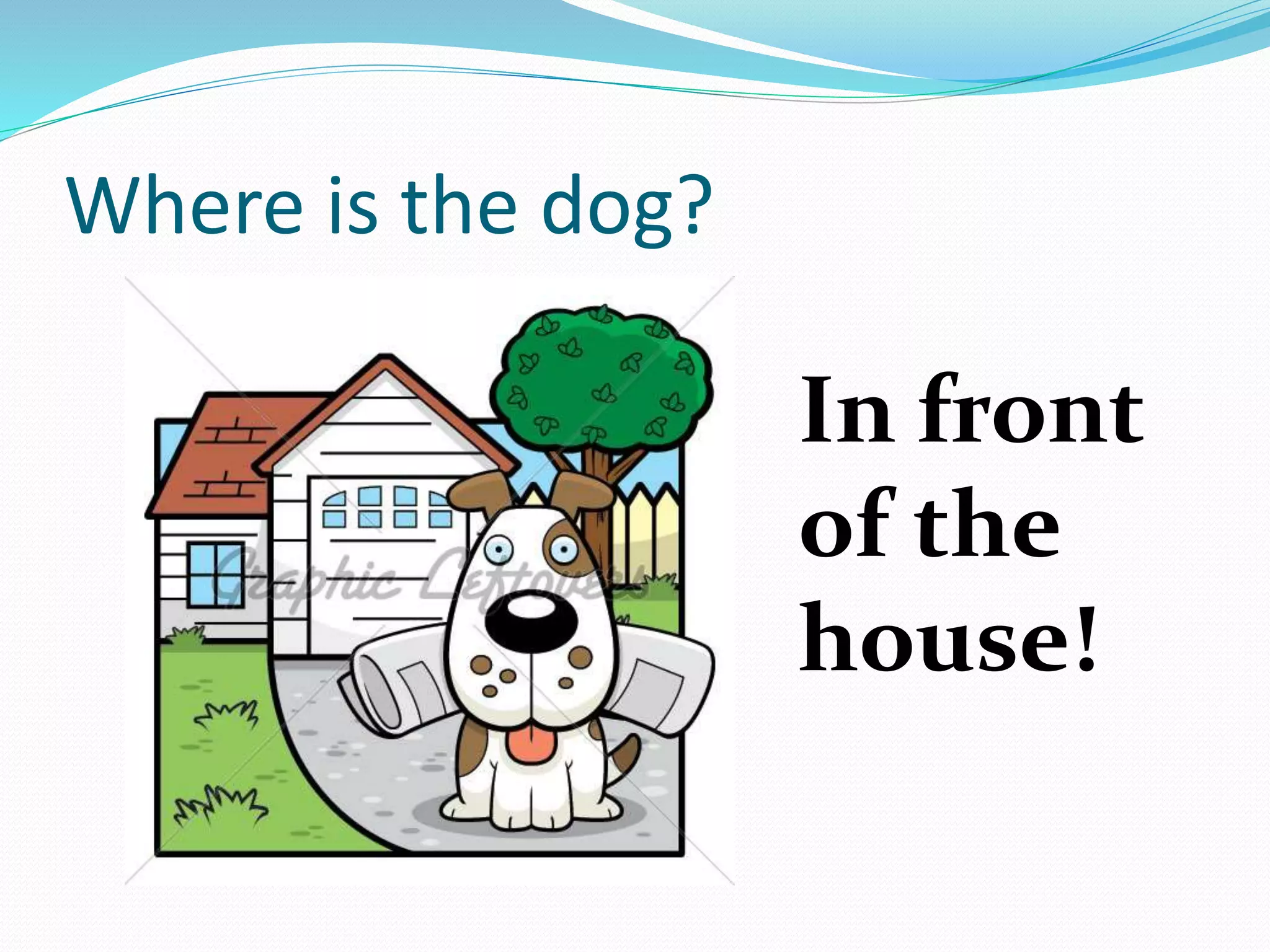 Where is it? Prepositions | PPTX | Cats | Pets