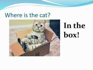Where is it? Prepositions | PPTX | Cats | Pets