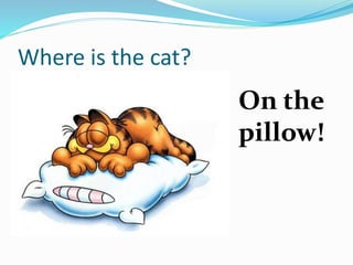 Where is it? Prepositions | PPTX | Cats | Pets