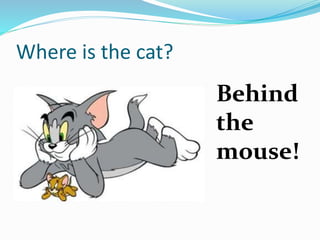 Where is it? Prepositions | PPTX | Cats | Pets