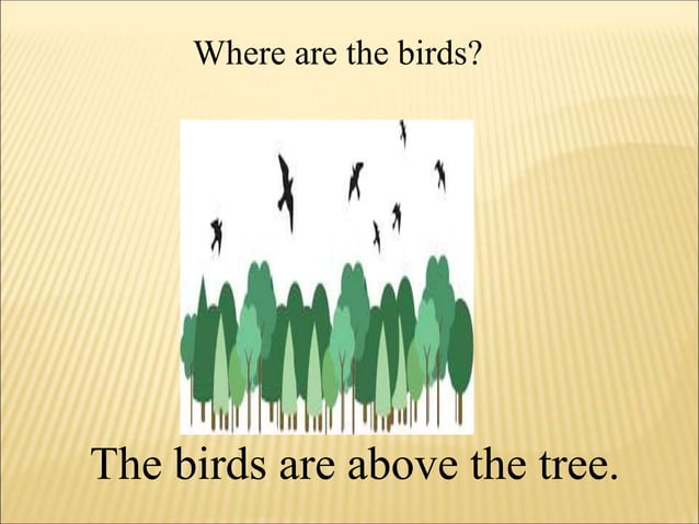 where is or whera are english grammar for basic | PPT