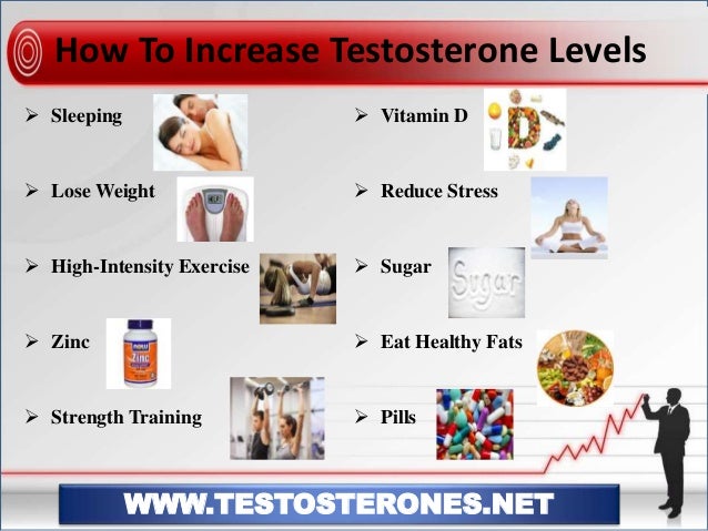 Where is testosterone produced in human body (1) Where is testosterone produced in human body (1)
