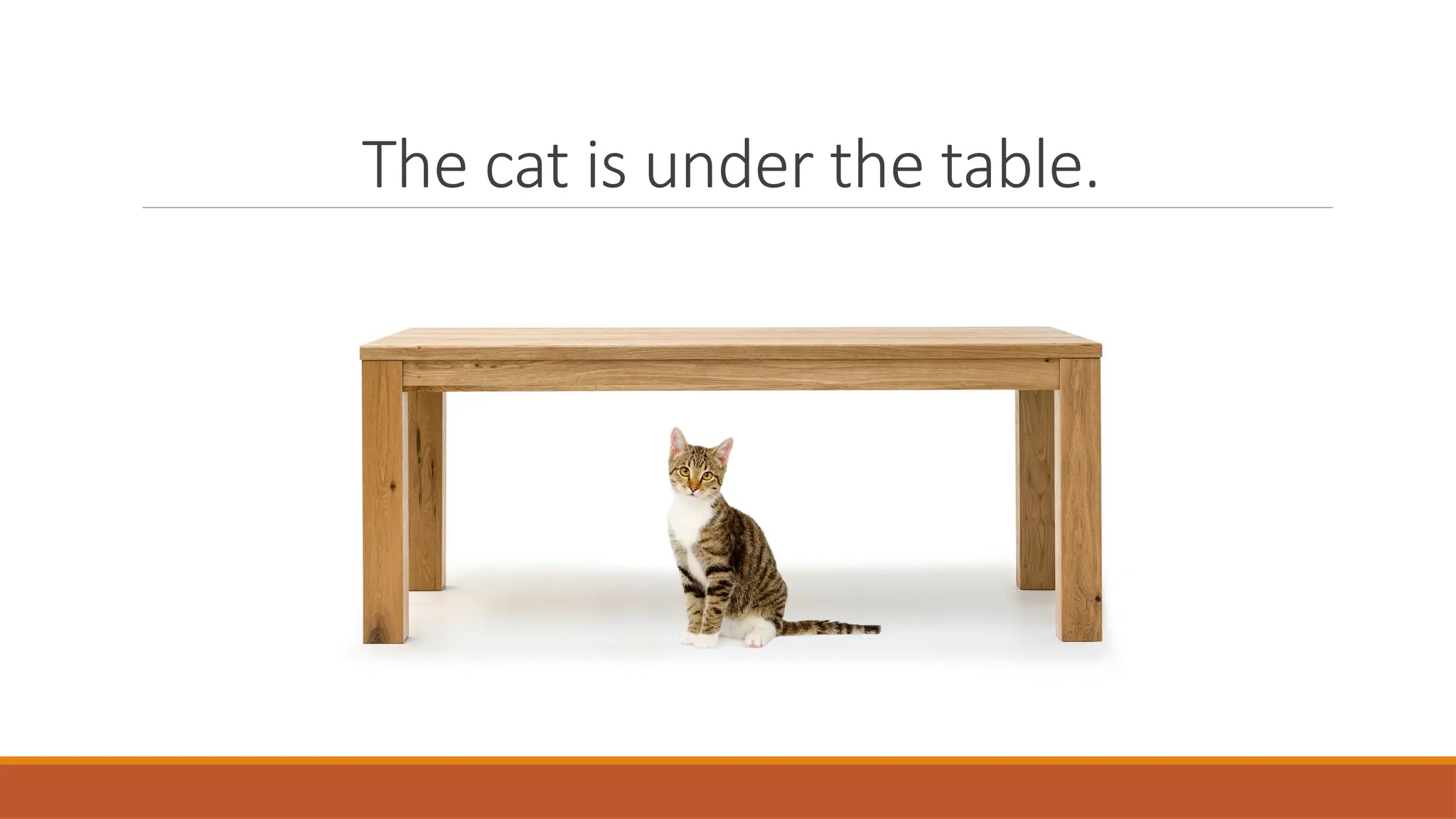 Where is the cat Prepositions.pptx........... | PPTX