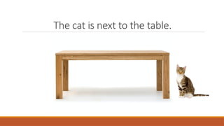 Where is the cat Prepositions.pptx........... | PPTX