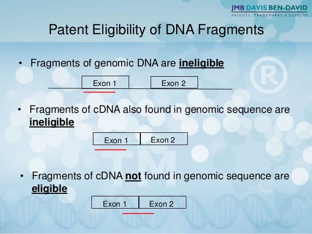 Gene Patents