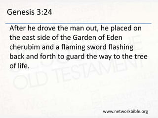 Where's Jesus in Genesis part 2 (The Promised Seed) | PPTX
