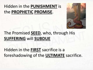 Where's Jesus in Genesis part 2 (The Promised Seed) | PPTX