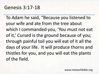 Where's Jesus in Genesis part 2 (The Promised Seed) | PPT