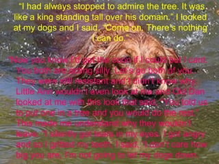 How Does The Dog Die In Where The Red Fern Grows