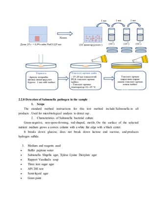 Whey protein research | PDF