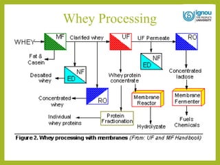 Whey utilization | PPTX