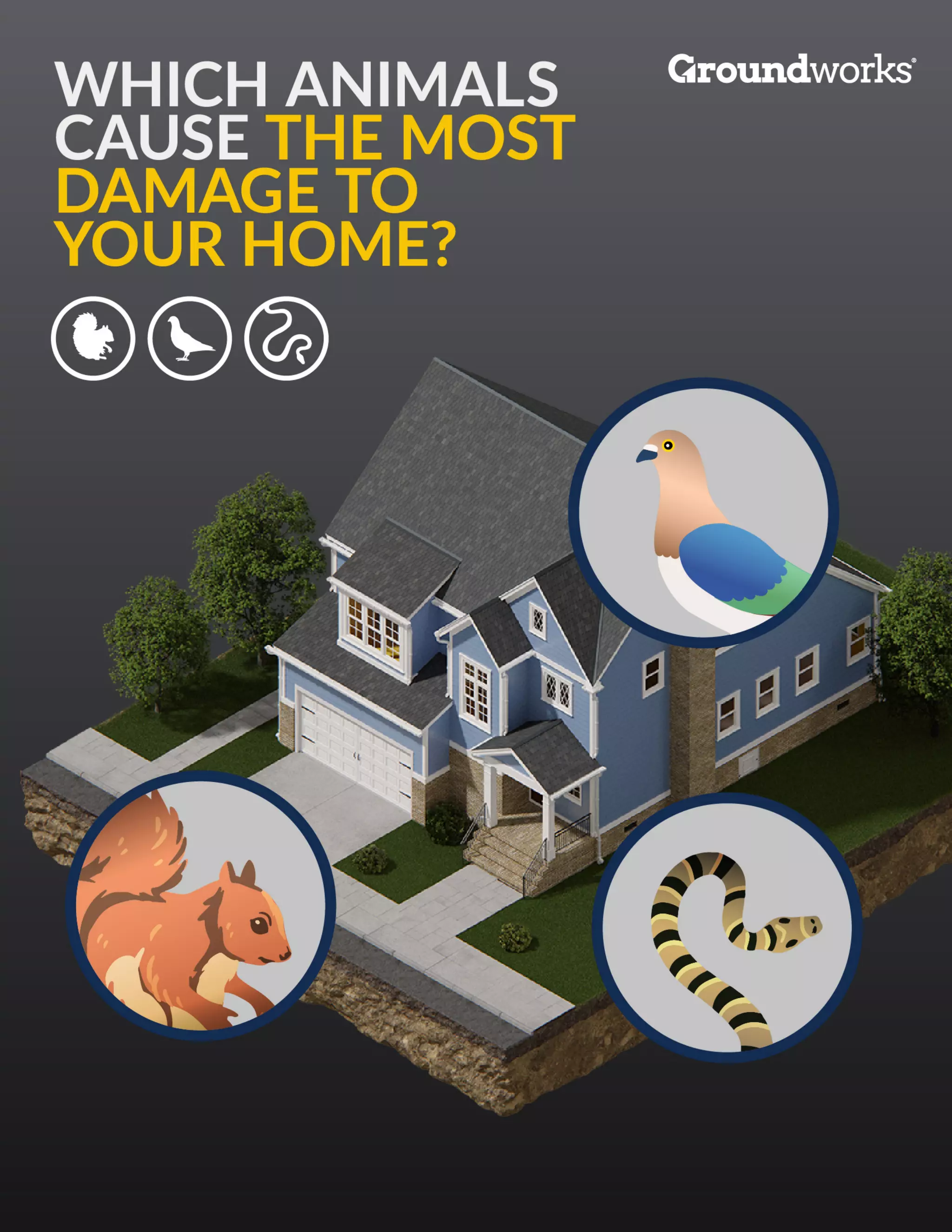 Which Animals Cause the Most Damage to Your Home? | PDF