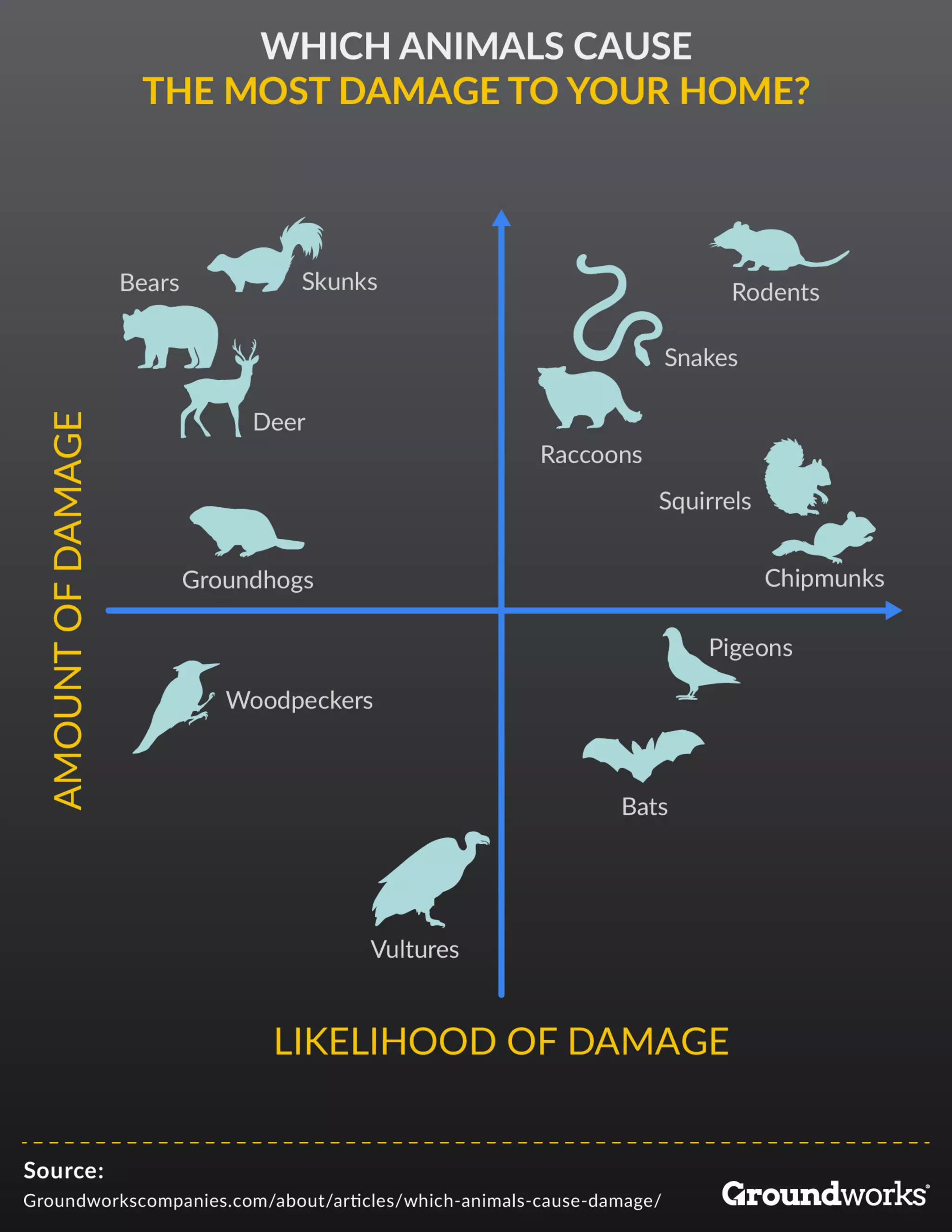 Which Animals Cause the Most Damage to Your Home? | PDF