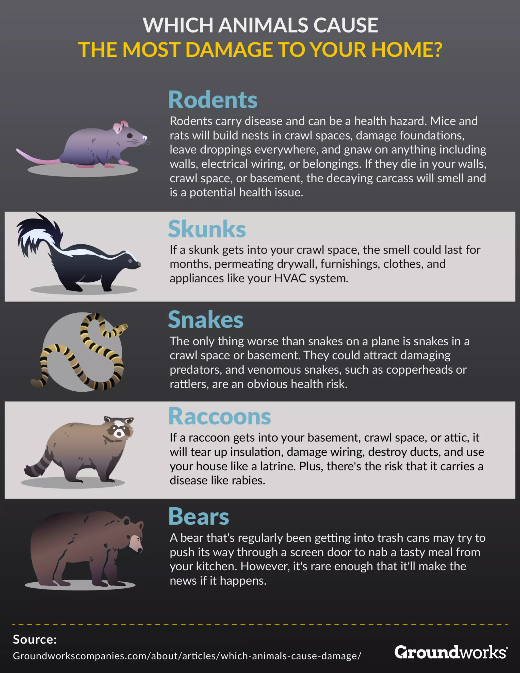 Which Animals Cause the Most Damage to Your Home? | PDF