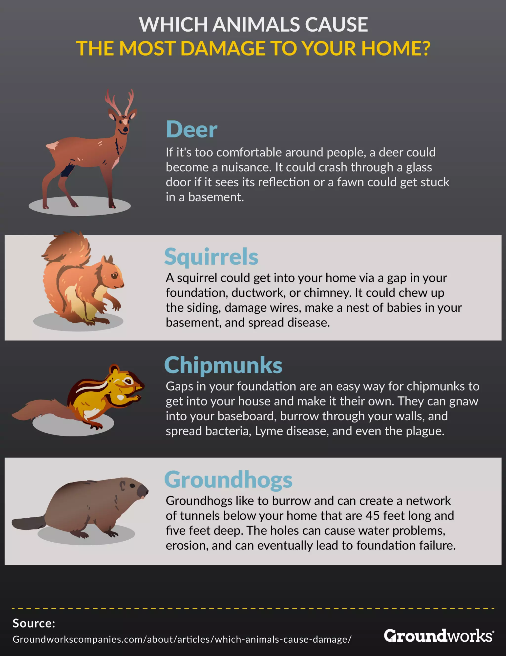 Which Animals Cause the Most Damage to Your Home? | PDF