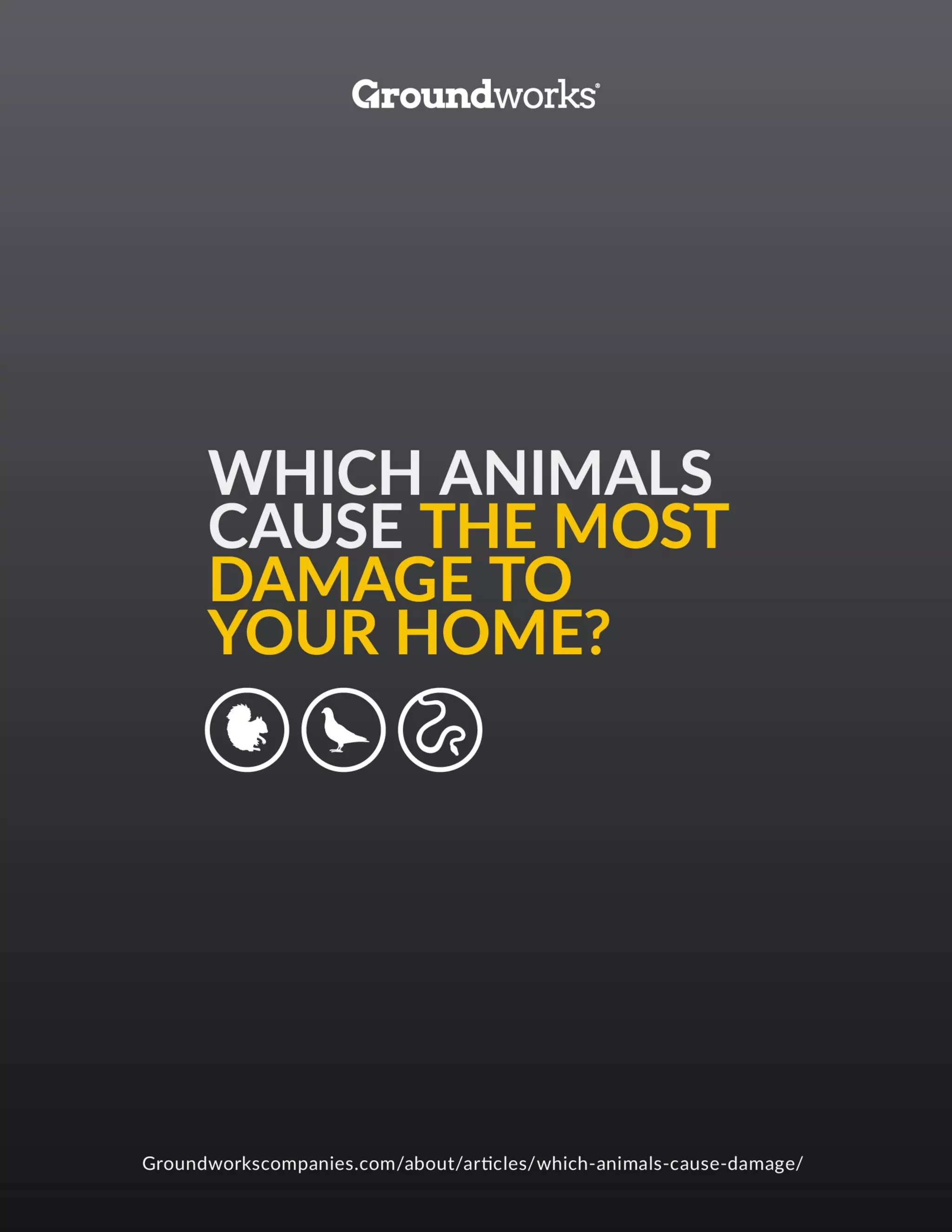 Which Animals Cause the Most Damage to Your Home? | PDF