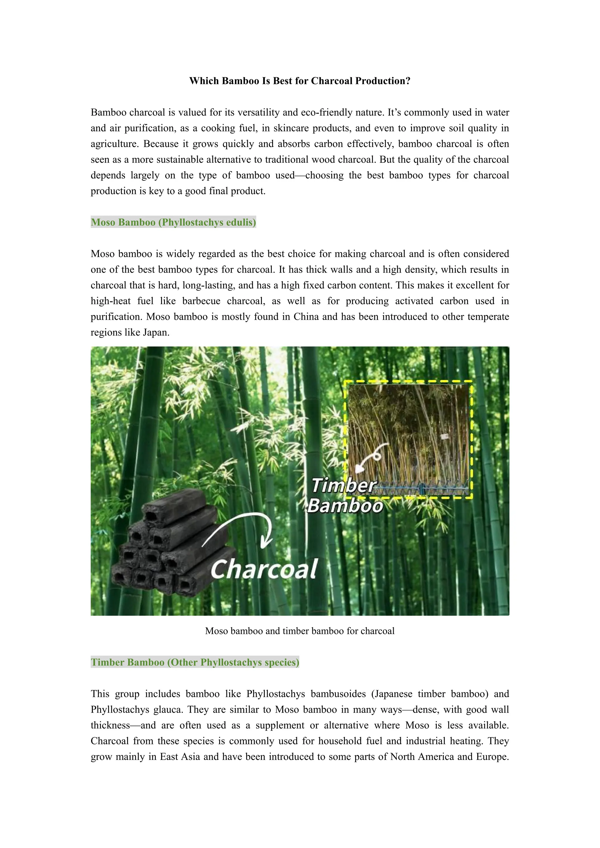 Which Bamboo Is Best for _20251211161122.pdf