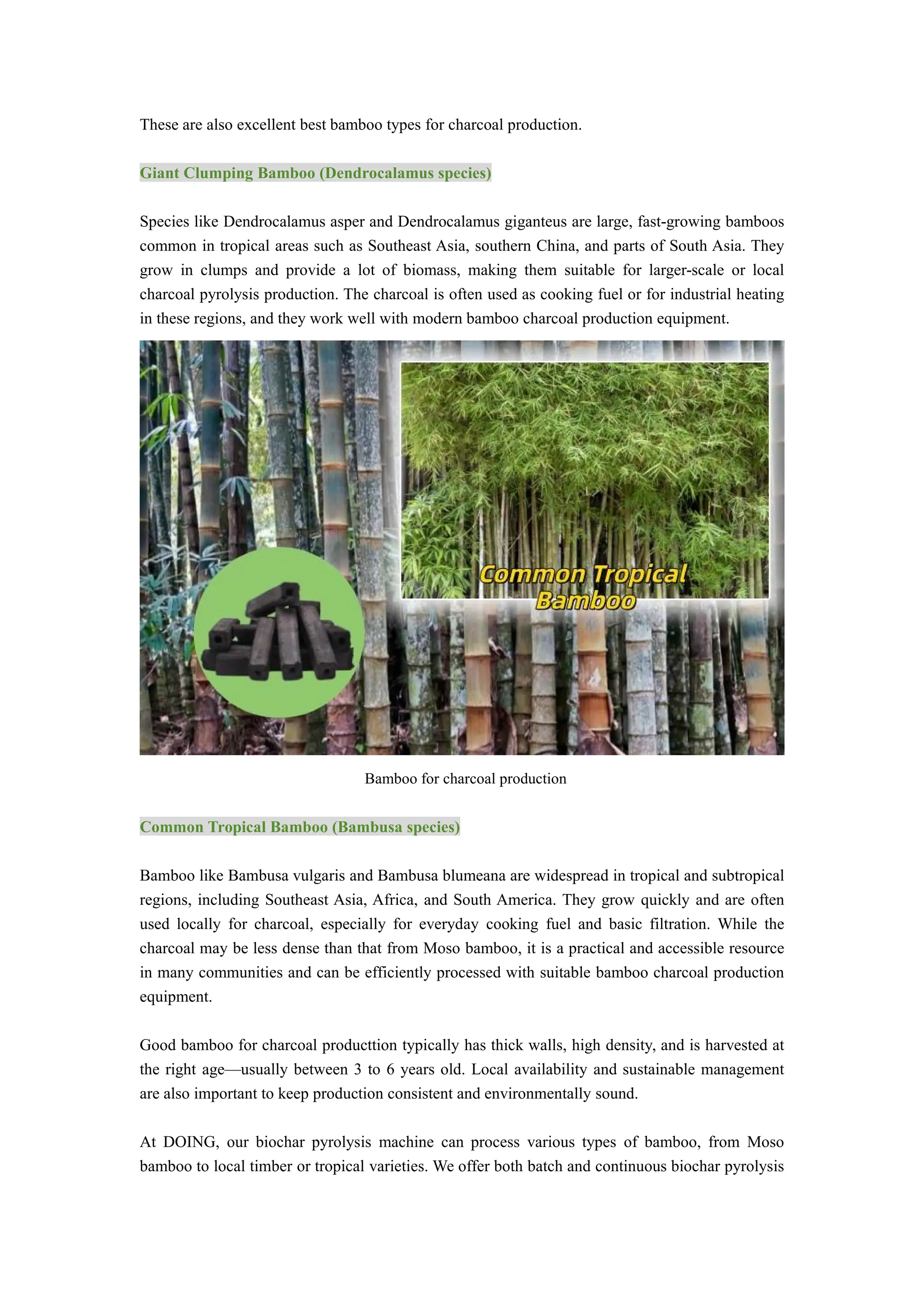 Which Bamboo Is Best for _20251211161122.pdf