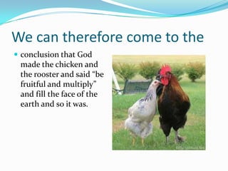 Which came first the chicken or the egg | PPTX