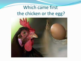 Which came first the chicken or the egg | PPTX