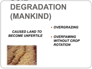 Which has greater enviromental destructive potential, mankind | PPTX