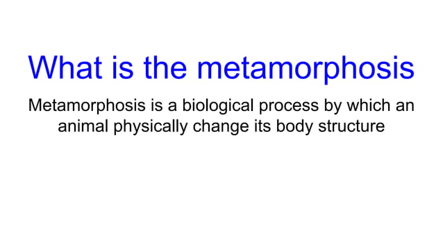 What is the metamorphosis (1) | PPT