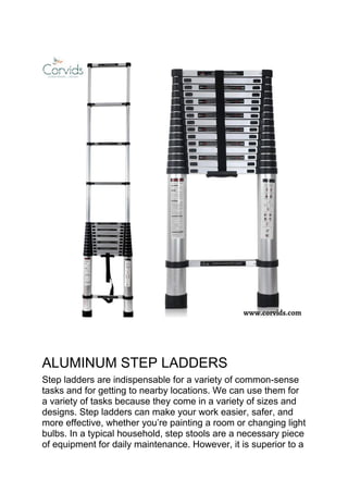 Which Ladder is Best For you- A Complete Guide | PDF