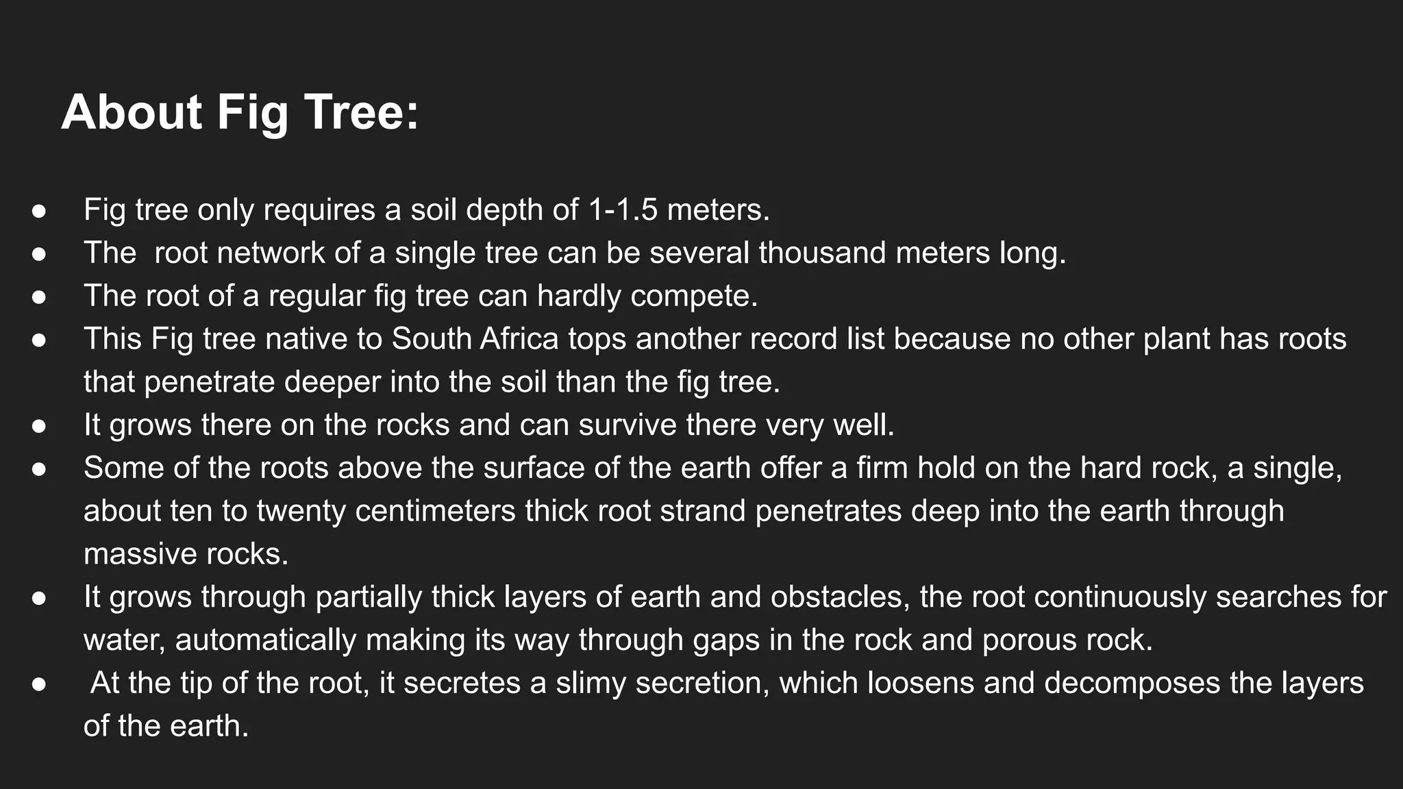 Which tree has the deepest roots in the world | PDF | Geology | Science