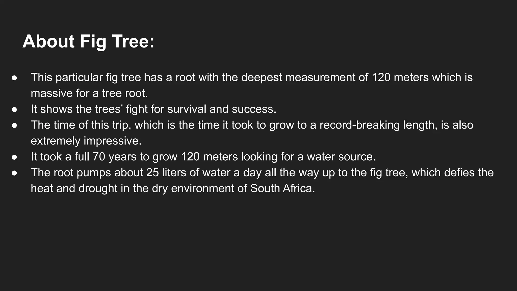 Which tree has the deepest roots in the world | PDF