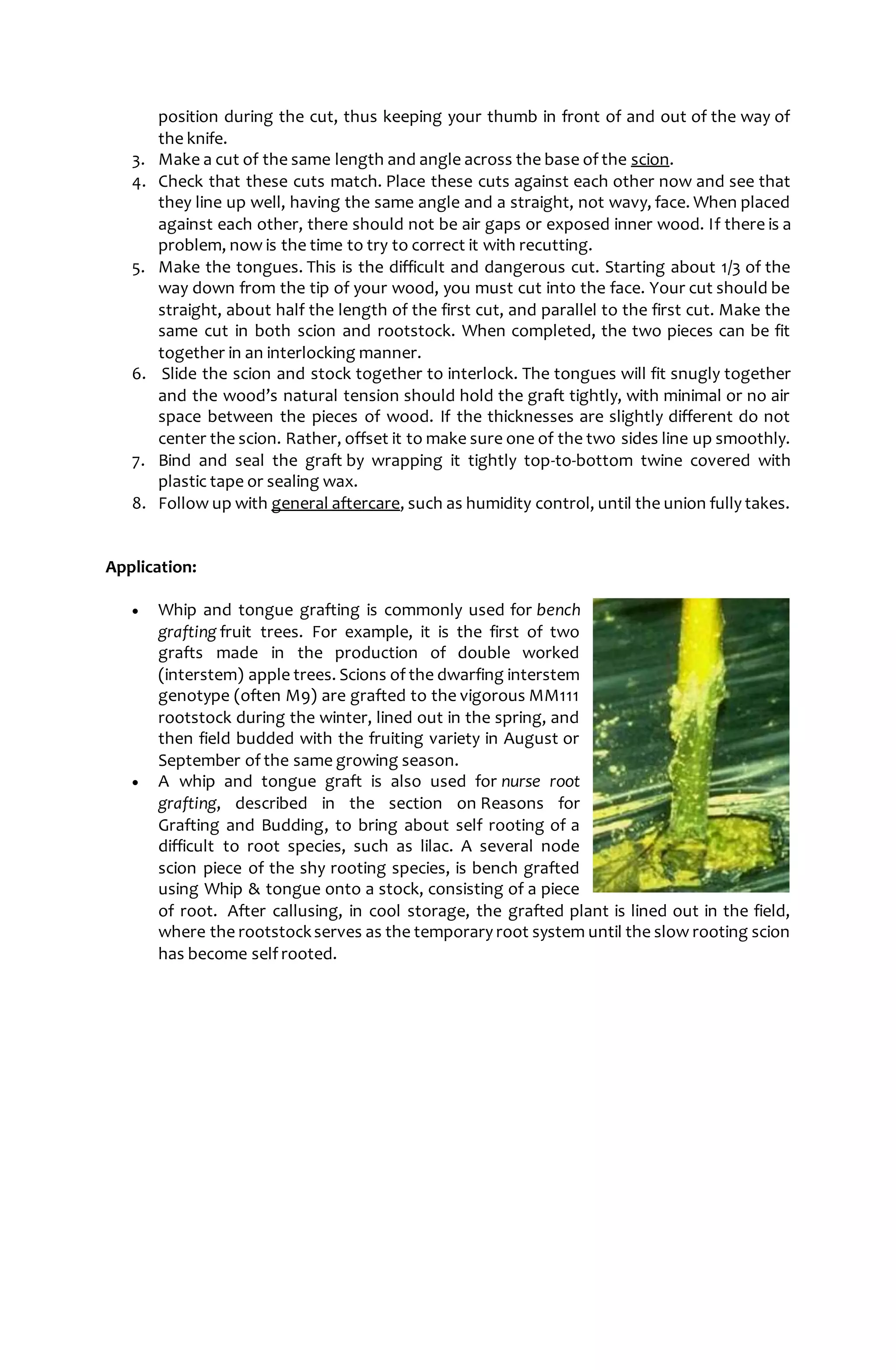 Whip and tongue grafting | DOCX