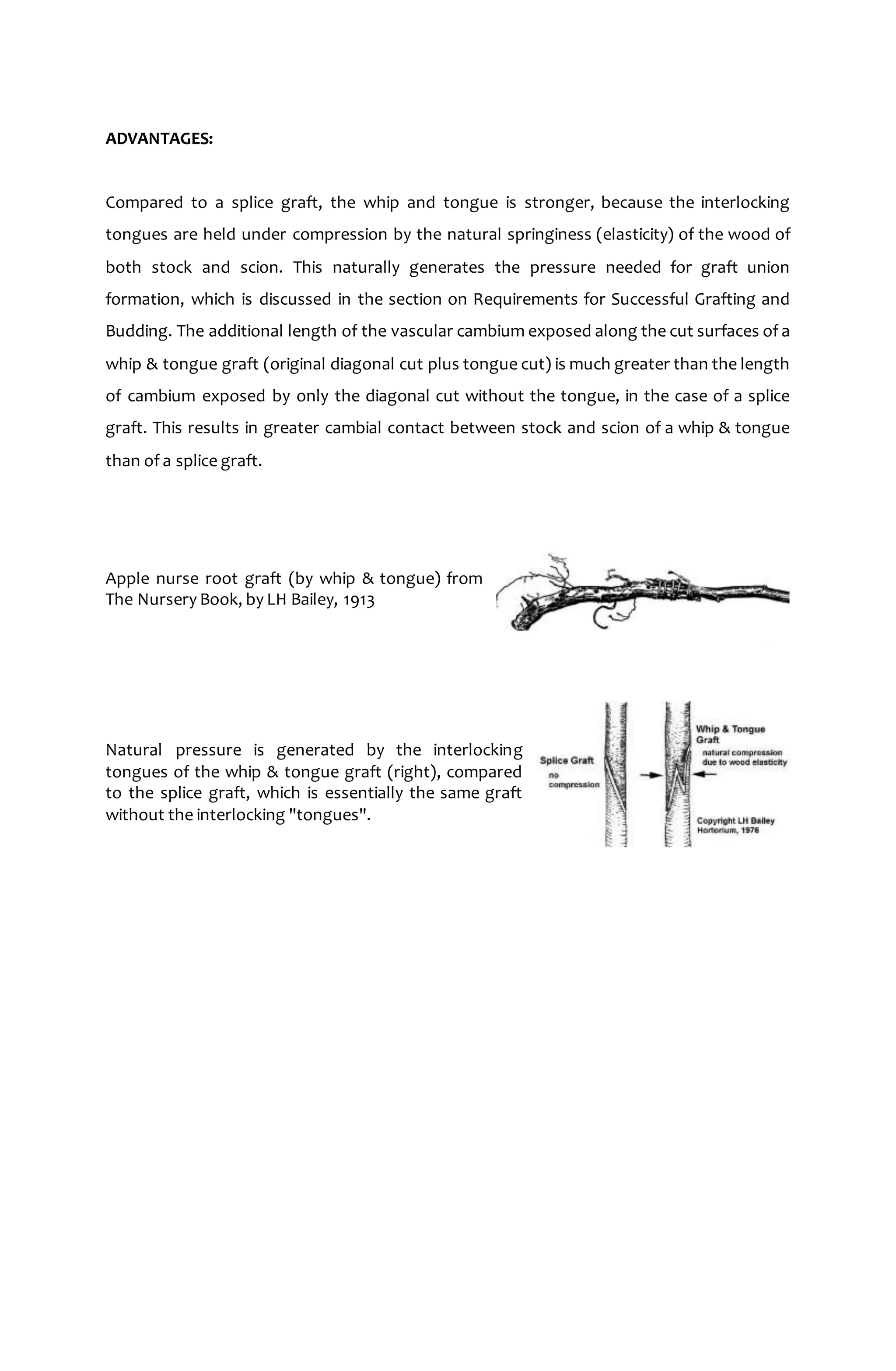 Whip and tongue grafting | DOCX